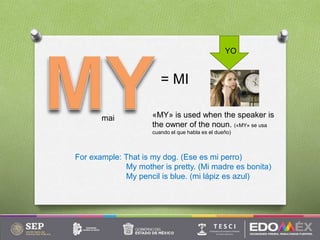 Possessive pronouns | PPTX