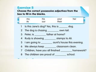 Possessives | PPTX