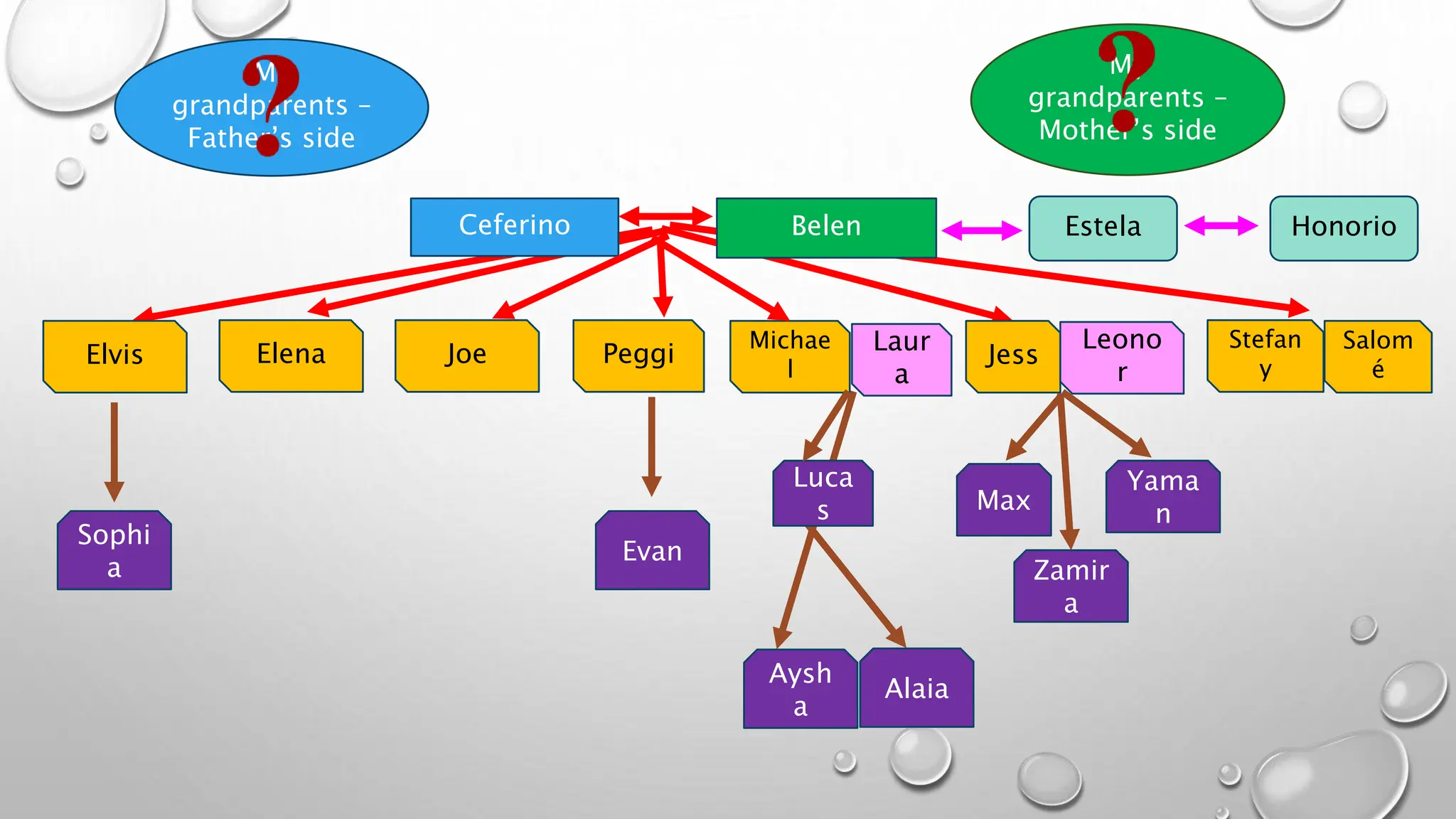 POSSESSIVES ADJECTIVES with a family context | PPTX
