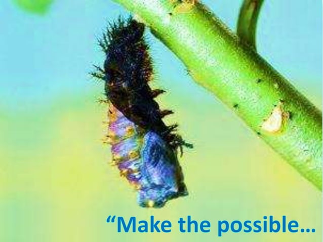 Possible probable | PPTX