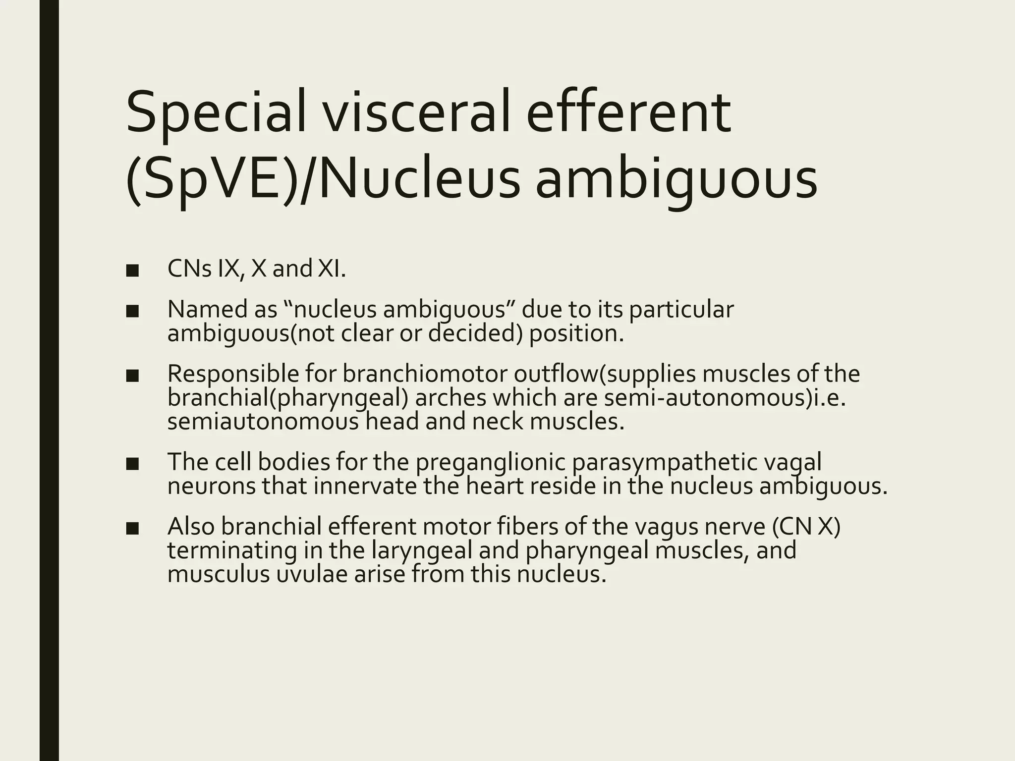 Posterior Cranial Fossa with Cranial Nerves Relation | PPTX