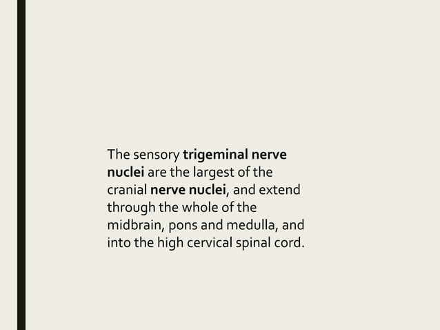 Posterior Cranial Fossa with Cranial Nerves Relation | PPTX