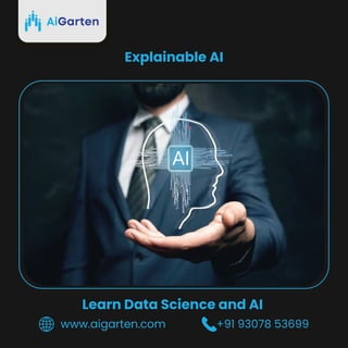 Explainable AI | PDF