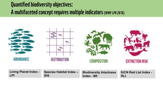 The Post-2020 Biodidversity Framework by Günther Mittlacher, WWF | PDF