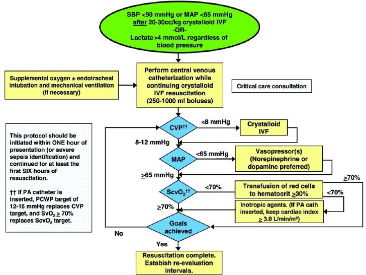 Post Cardiac Arrest Syndrome