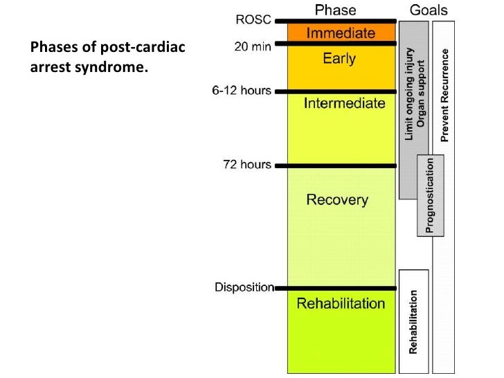 Post Cardiac Arrest Syndrome