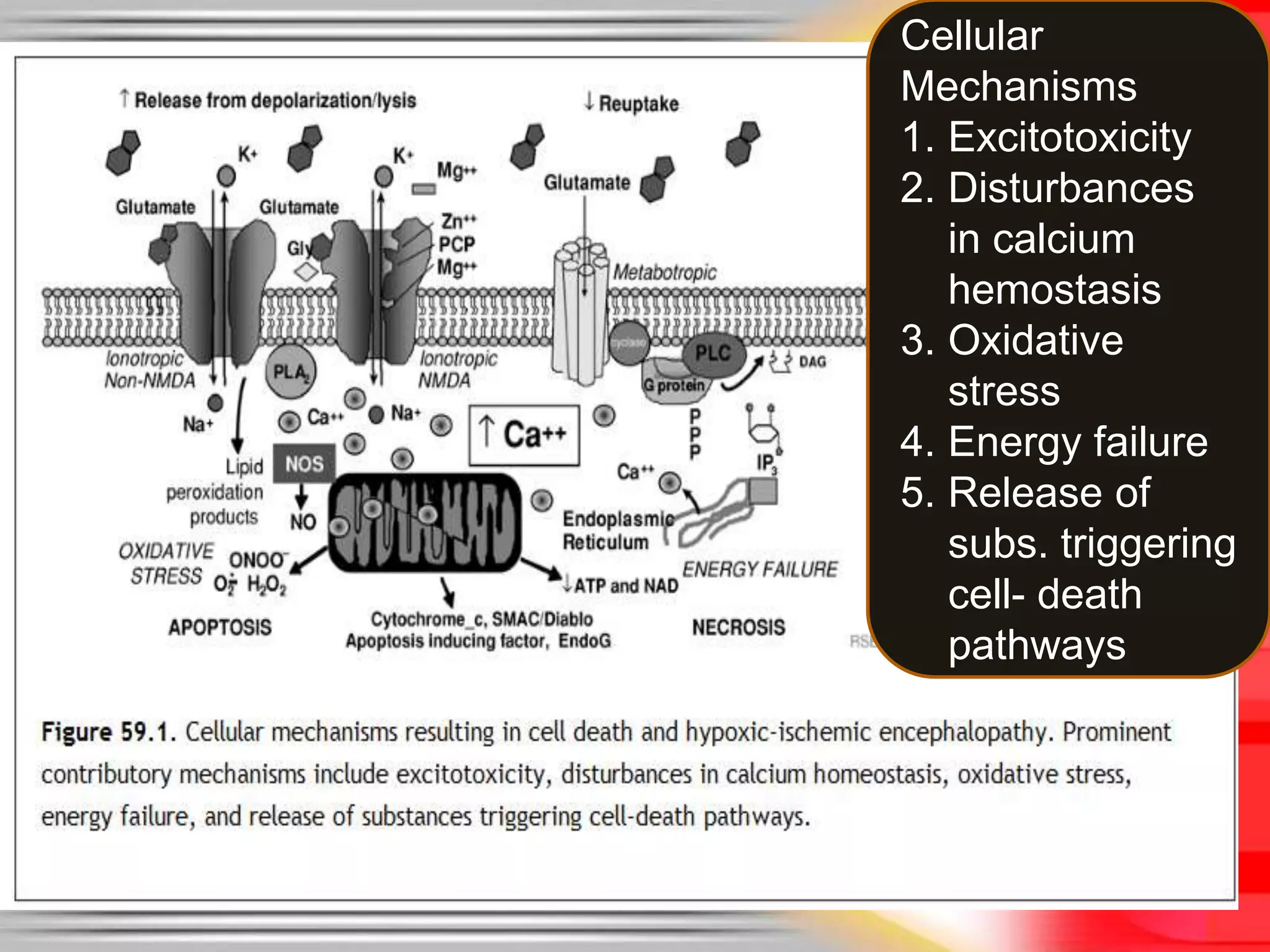 Post cardiac arrest syndrome | PPTX