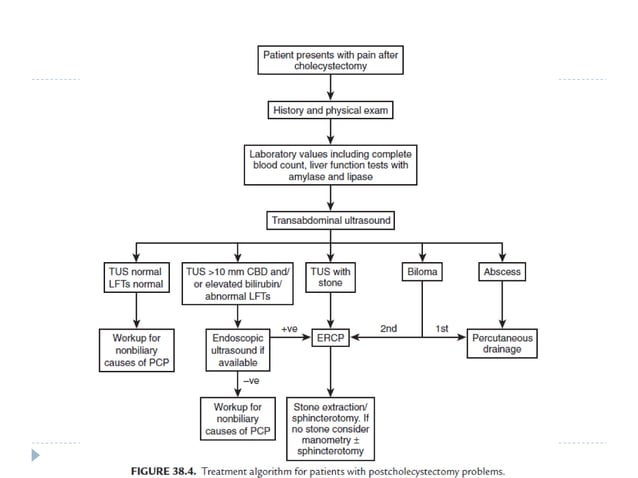 Post cholecystectomy complications | PPT
