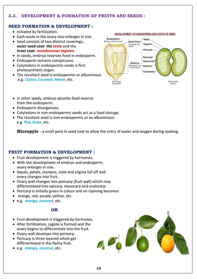 Post-Fertilization and Formation & Development of Seed and Fruit.pdf