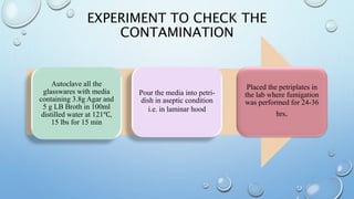 Post fumigation | PPTX