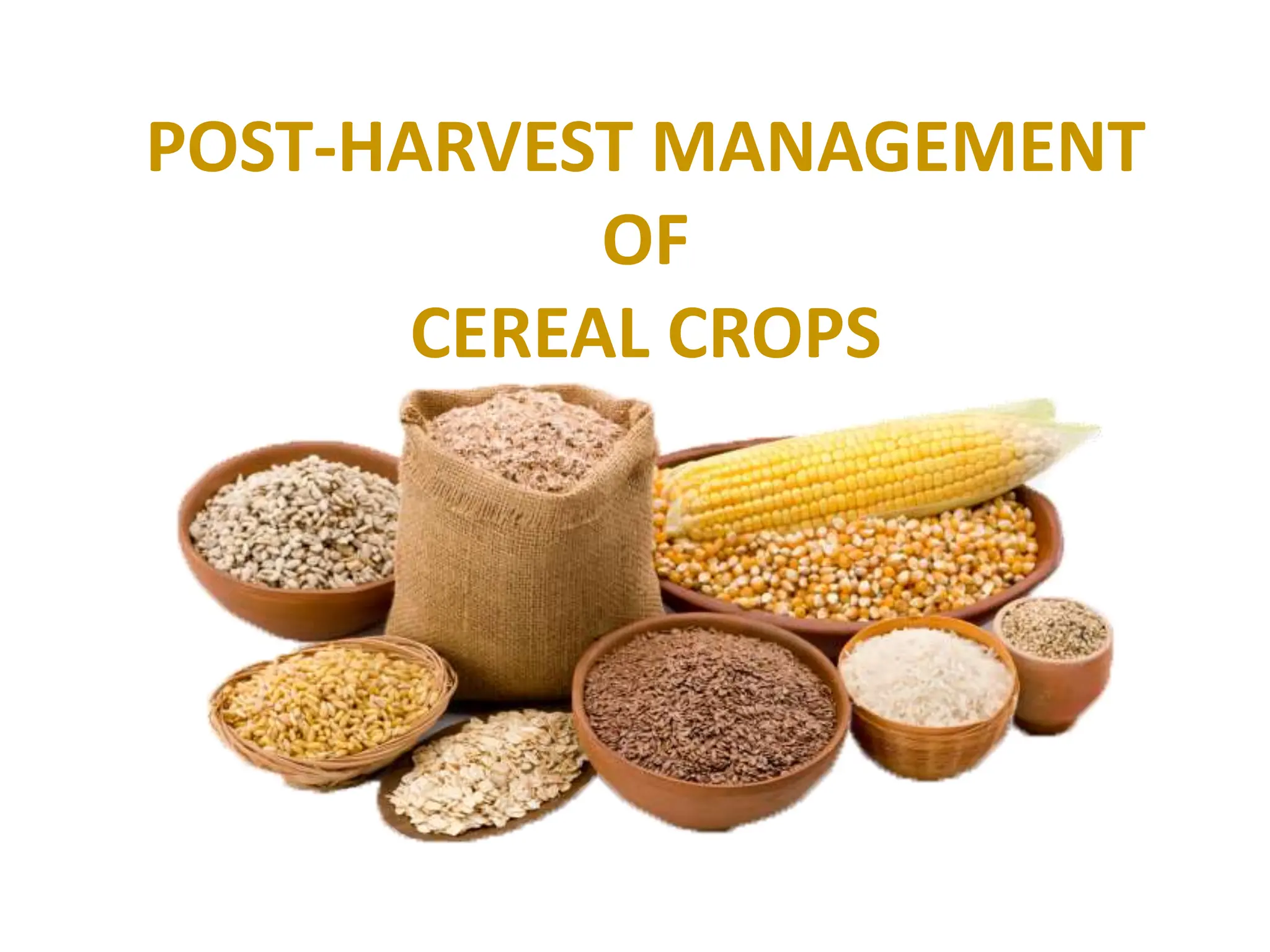 POST HARVEST MANAGEMENT pptx POST HARVEST MANAGEMENT pptx