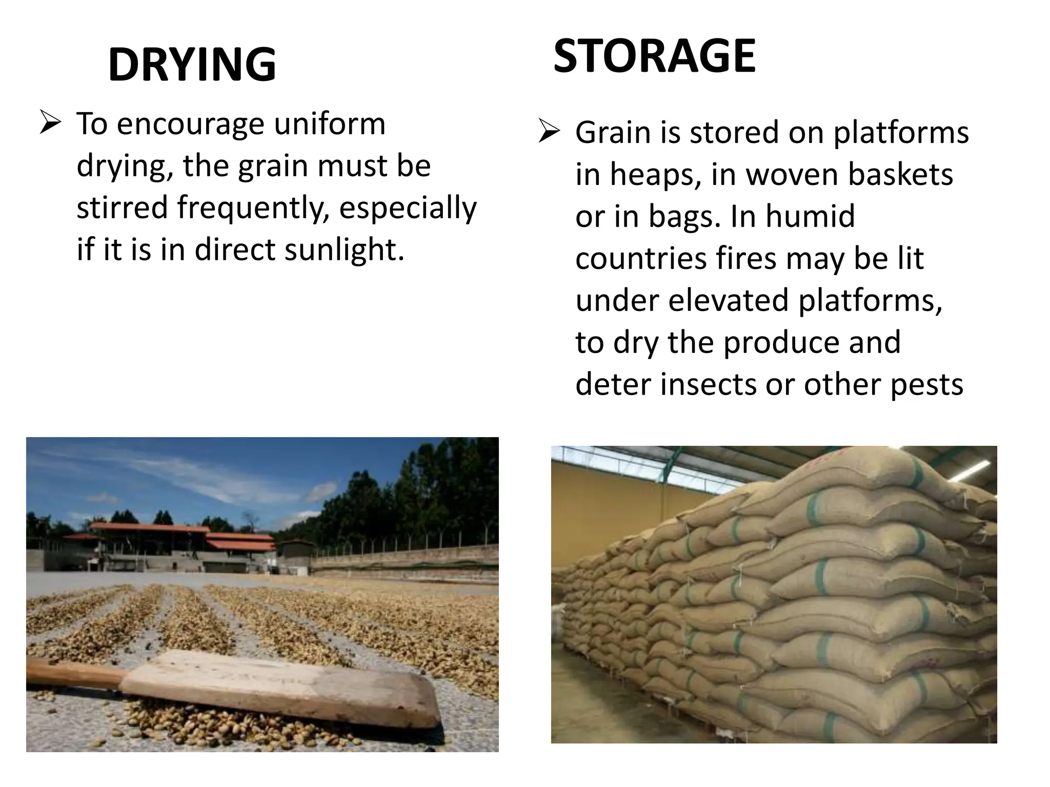 POST-HARVEST MANAGEMENT.pptx