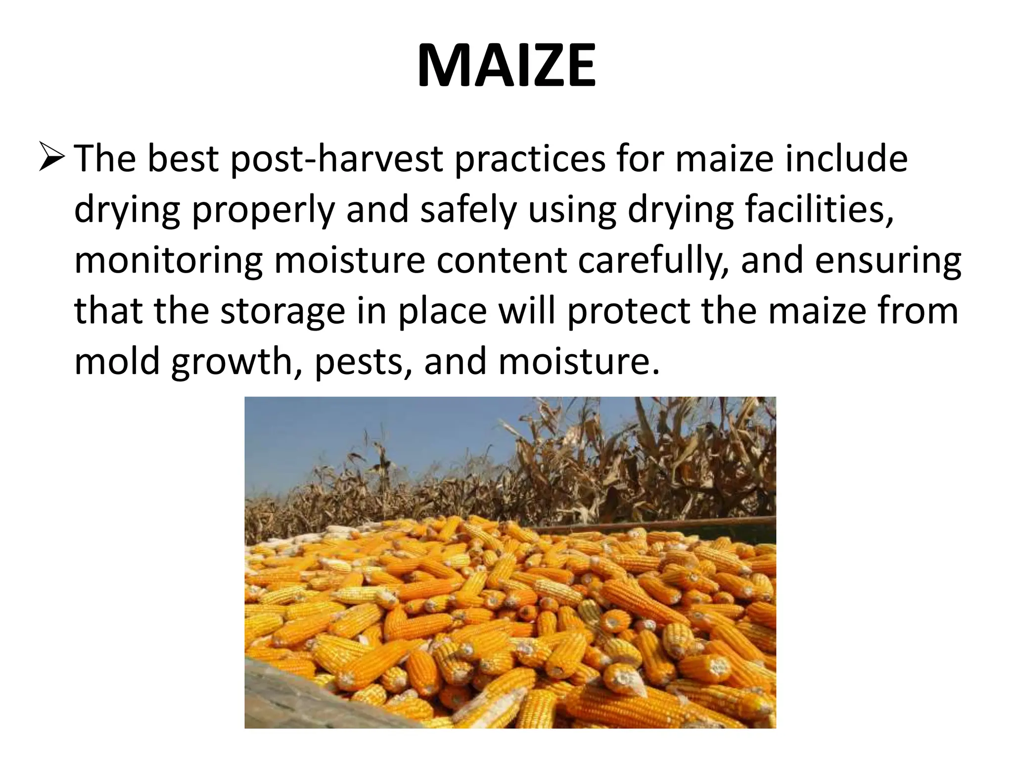 POST-HARVEST MANAGEMENT.pptx