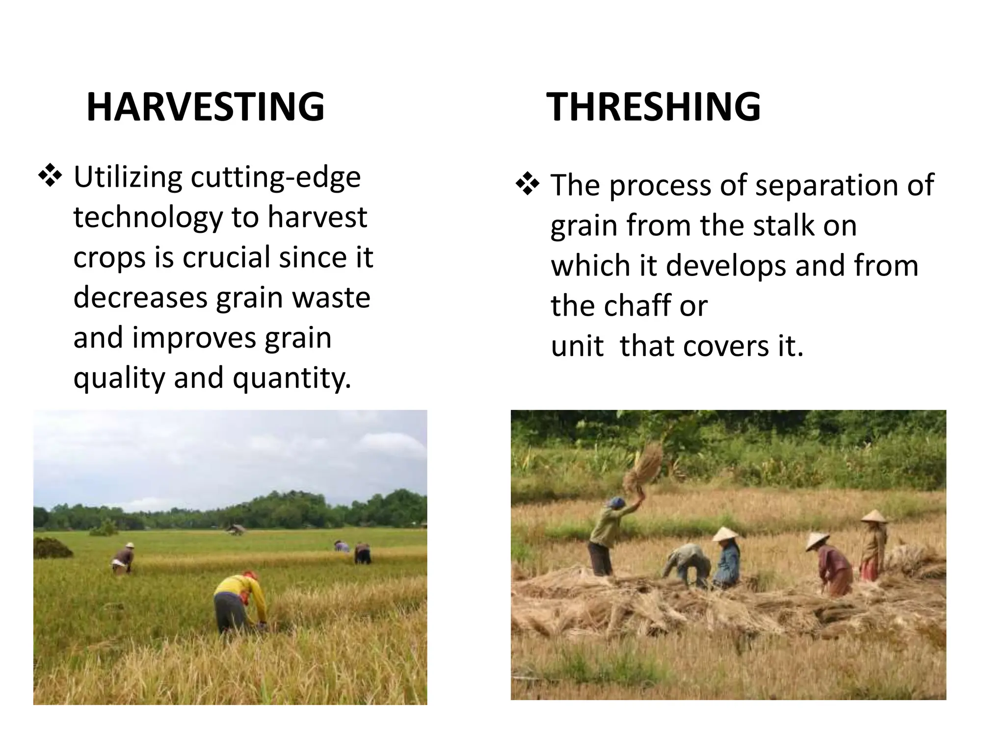POST-HARVEST MANAGEMENT.pptx