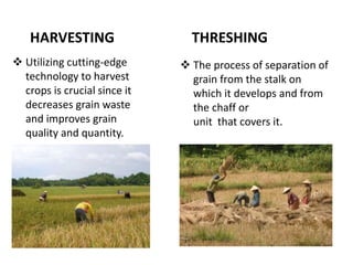 POST-HARVEST MANAGEMENT.pptx