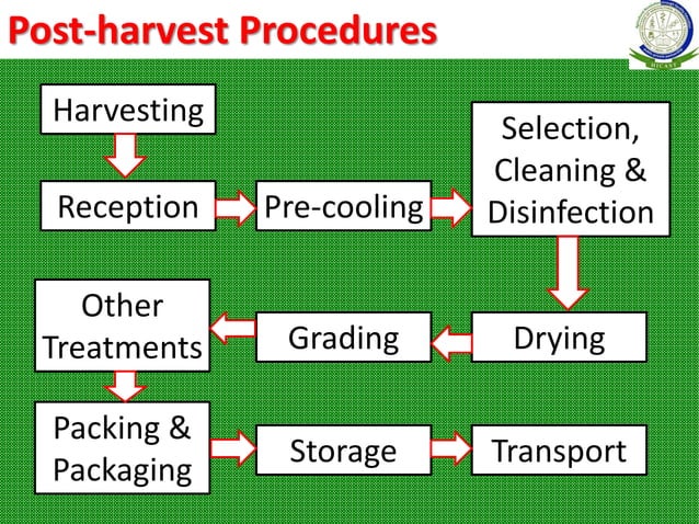 Post Harvest Management of Vegetables Crops