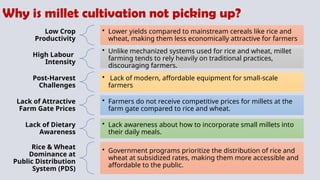 Post-harvest management of millet grains | PPTX