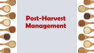 Post-harvest management of millet grains | PPTX