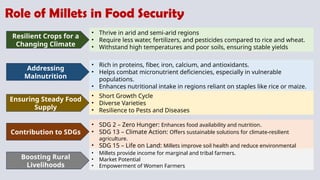 Post-harvest management of millet grains | PPTX