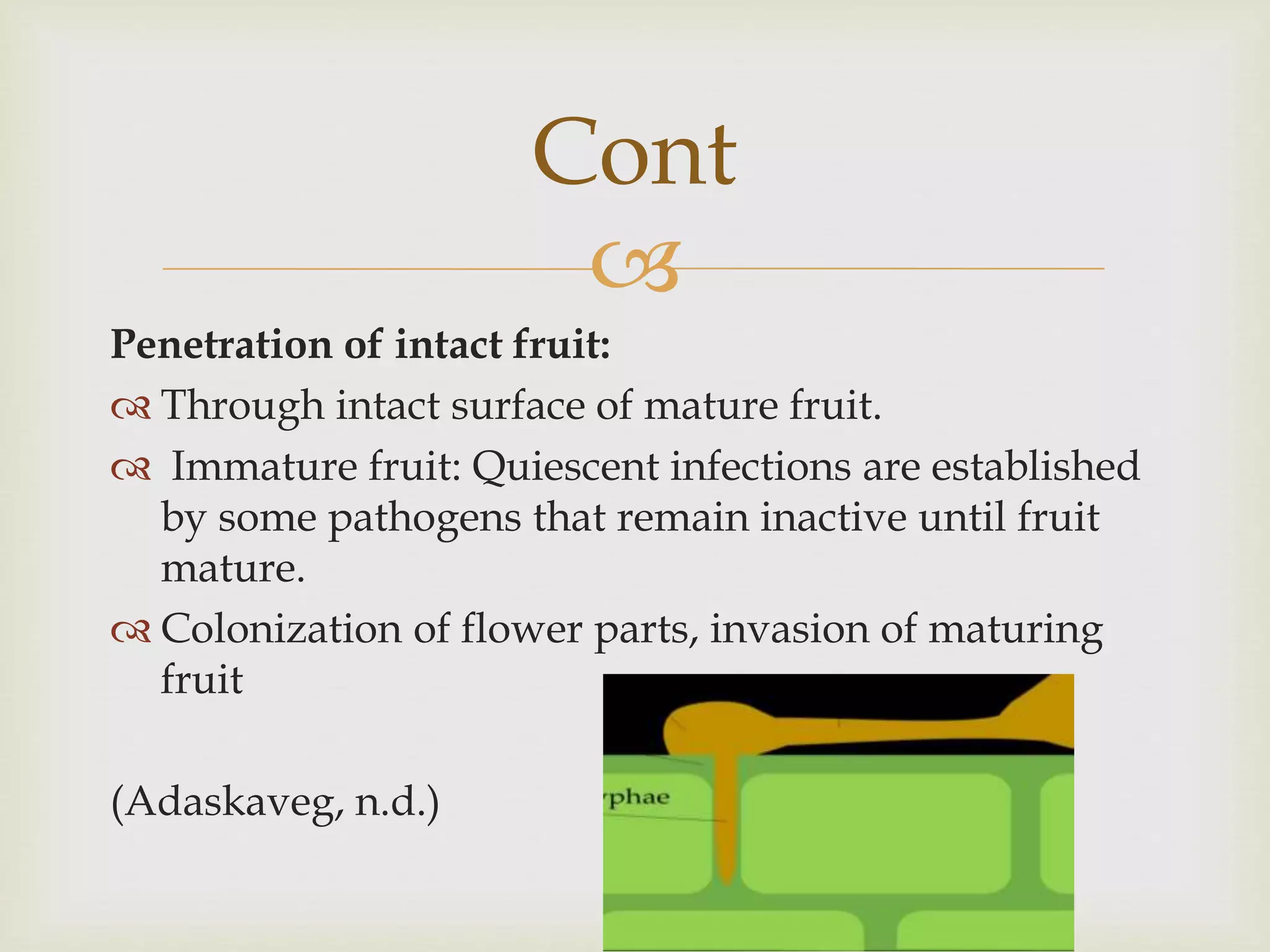Post-Harvest Pathology and Physiological disorders in fruits completed ...
