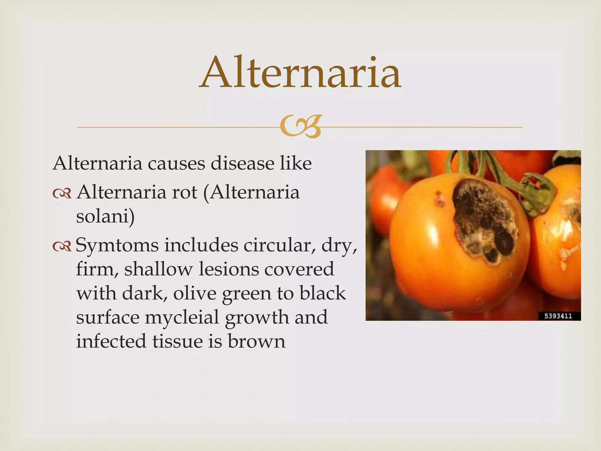 Post-Harvest Pathology and Physiological disorders in fruits completed ...