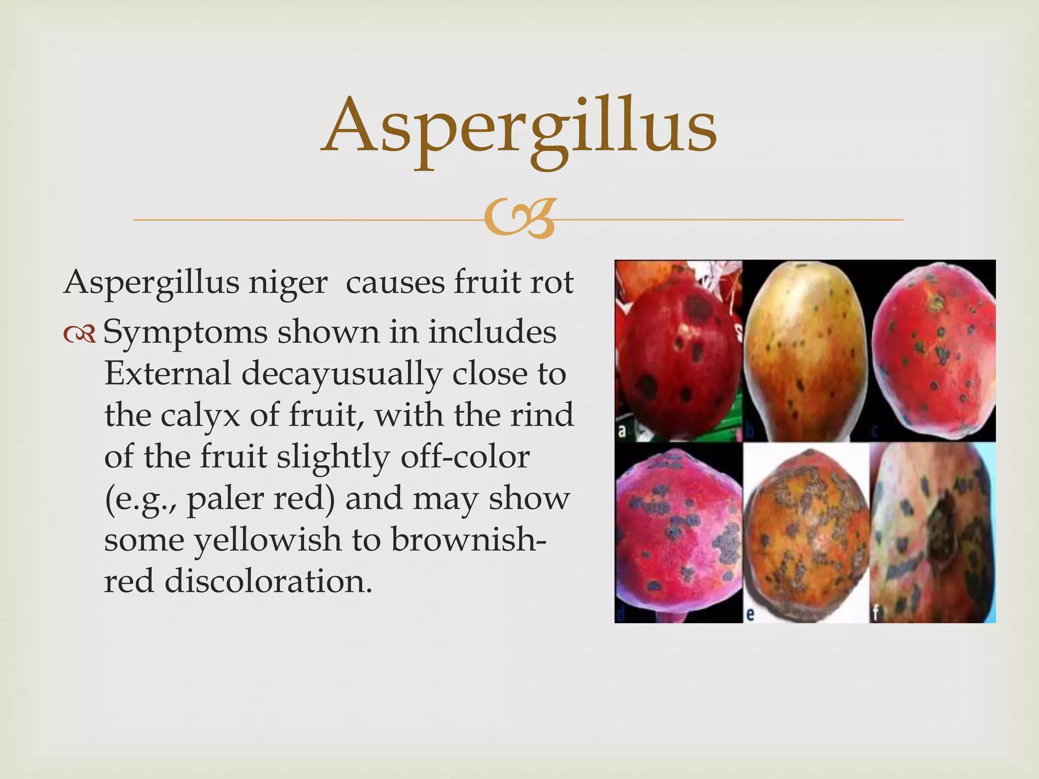 Post-Harvest Pathology and Physiological disorders in fruits completed ...