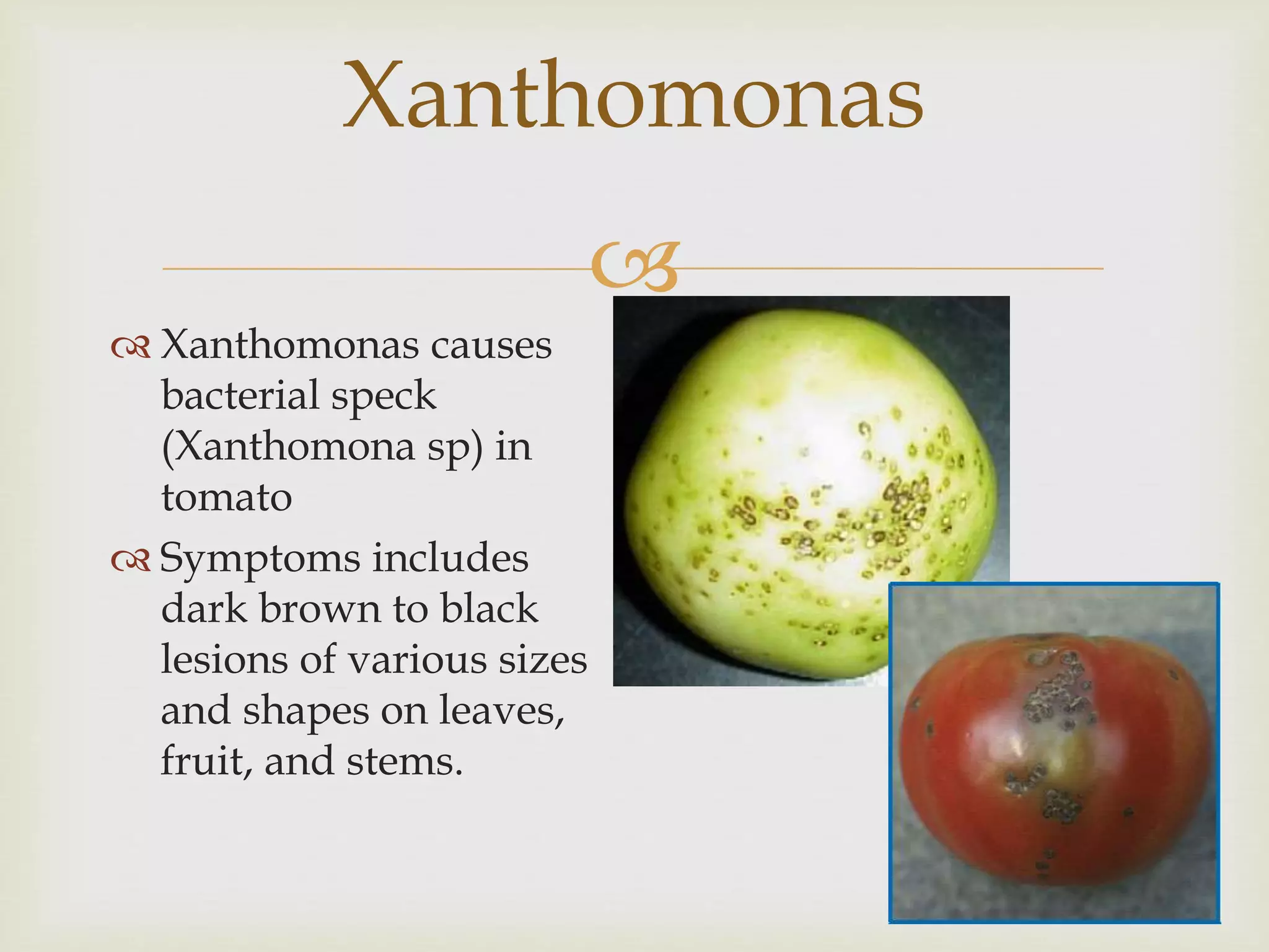 Post-Harvest Pathology and Physiological disorders in fruits completed ...