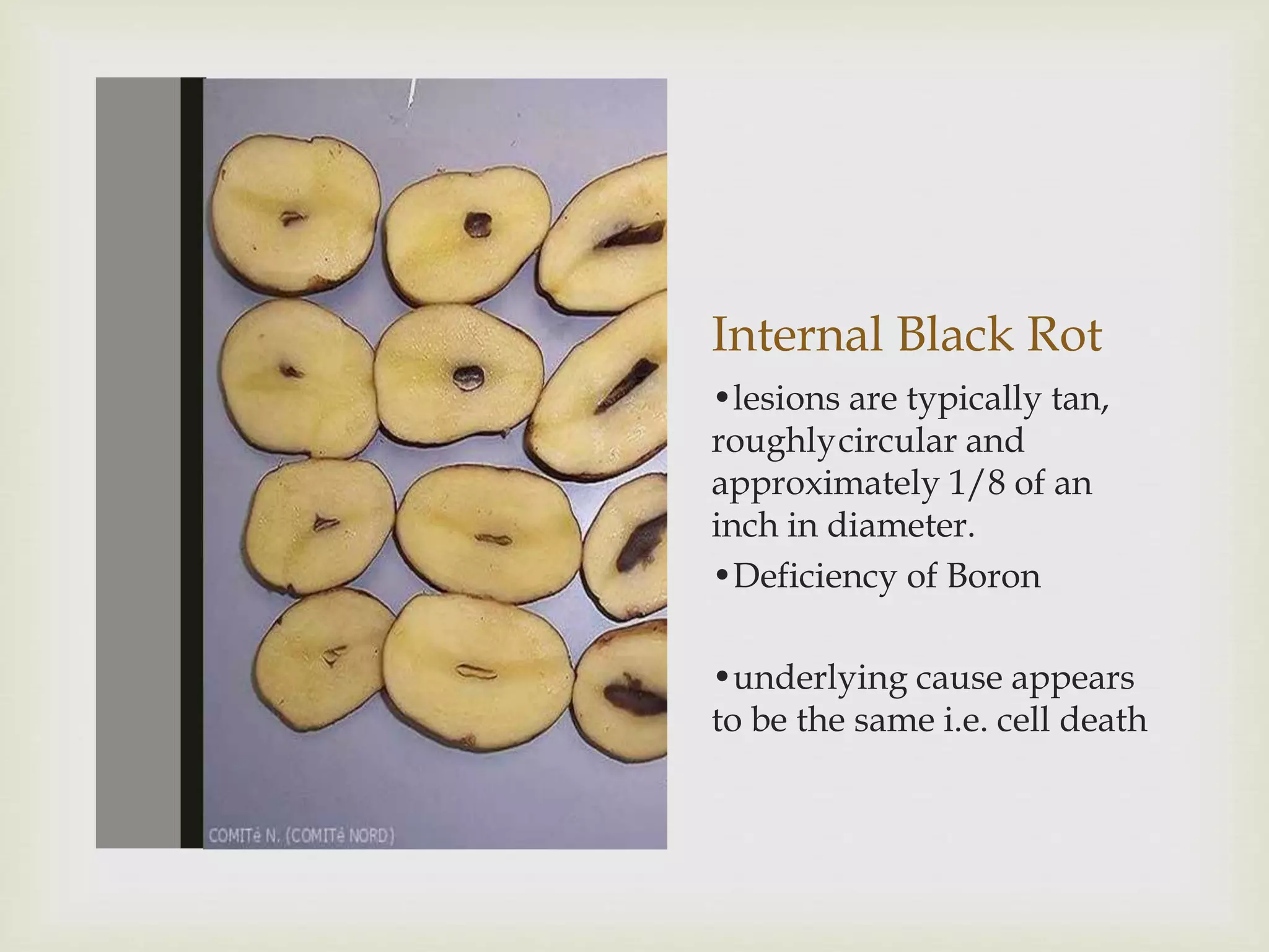 Post-Harvest Pathology and Physiological disorders in fruits completed ...