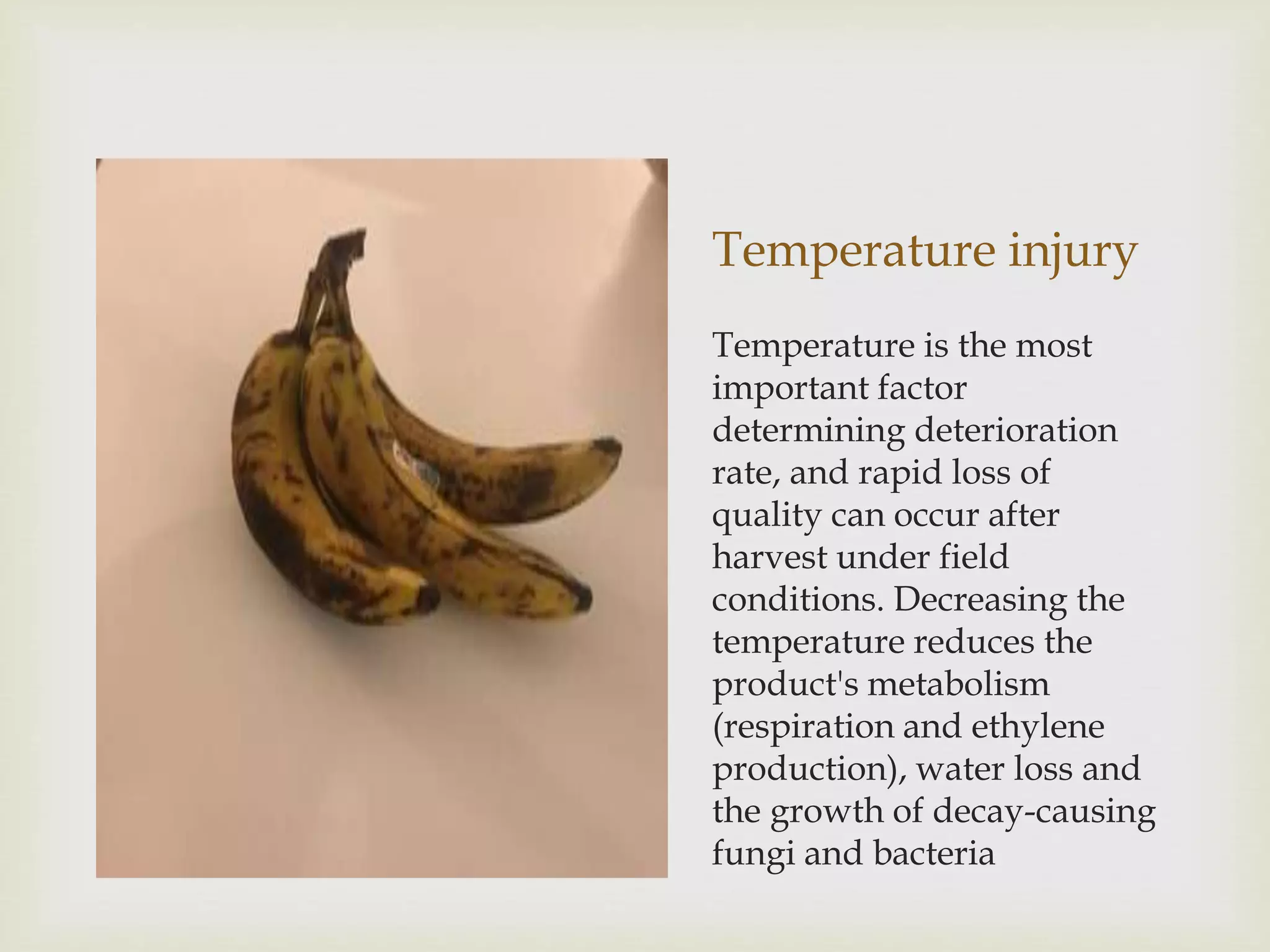 Post-Harvest Pathology and Physiological disorders in fruits completed ...