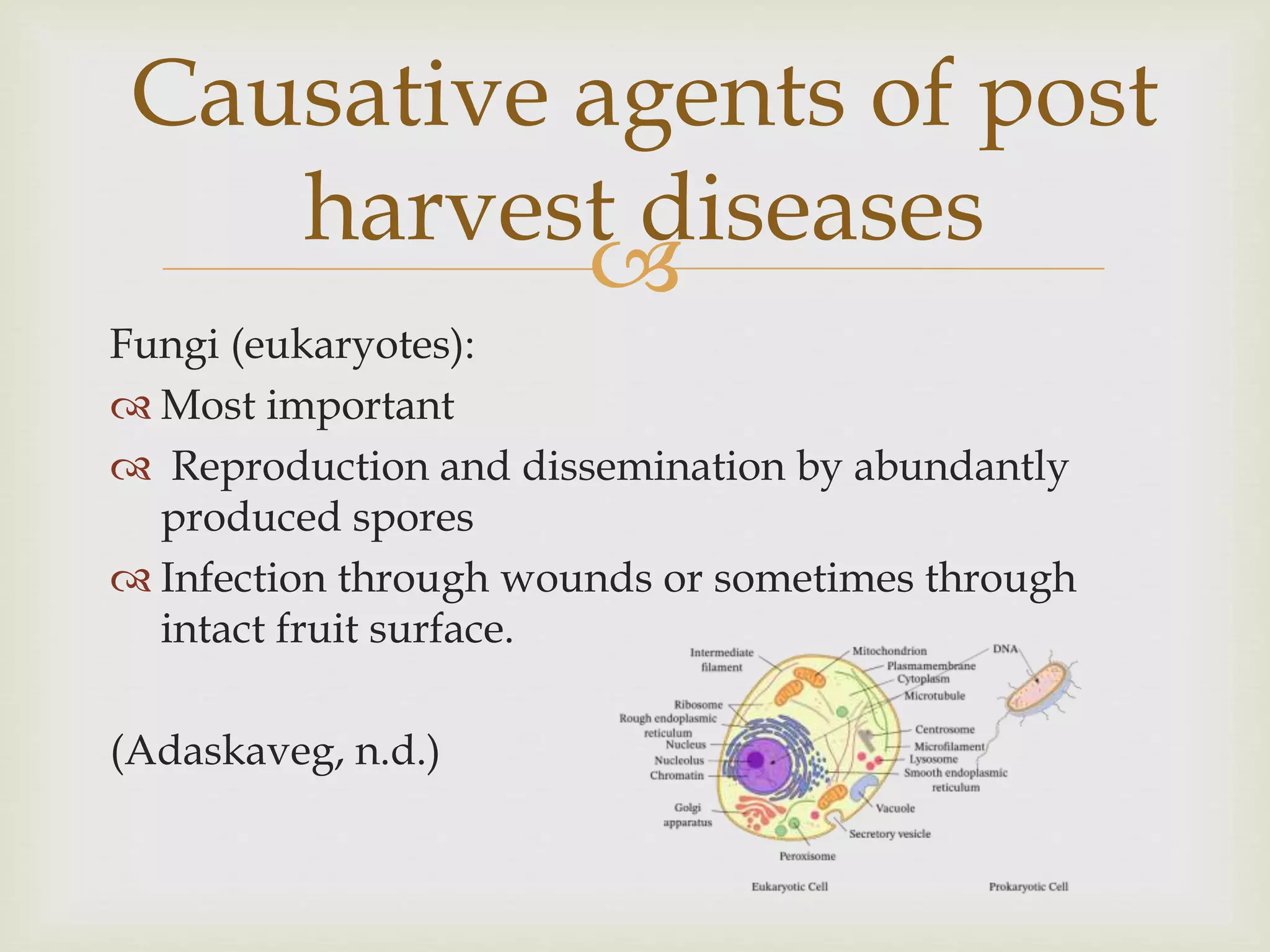 Post-Harvest Pathology and Physiological disorders in fruits completed ...