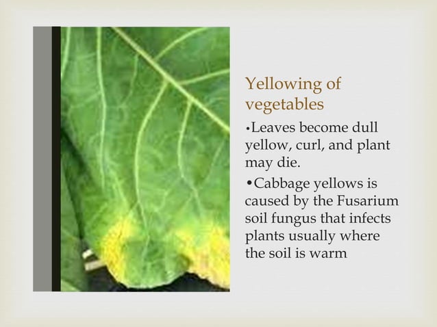 Post-Harvest Pathology and Physiological disorders in fruits completed ...