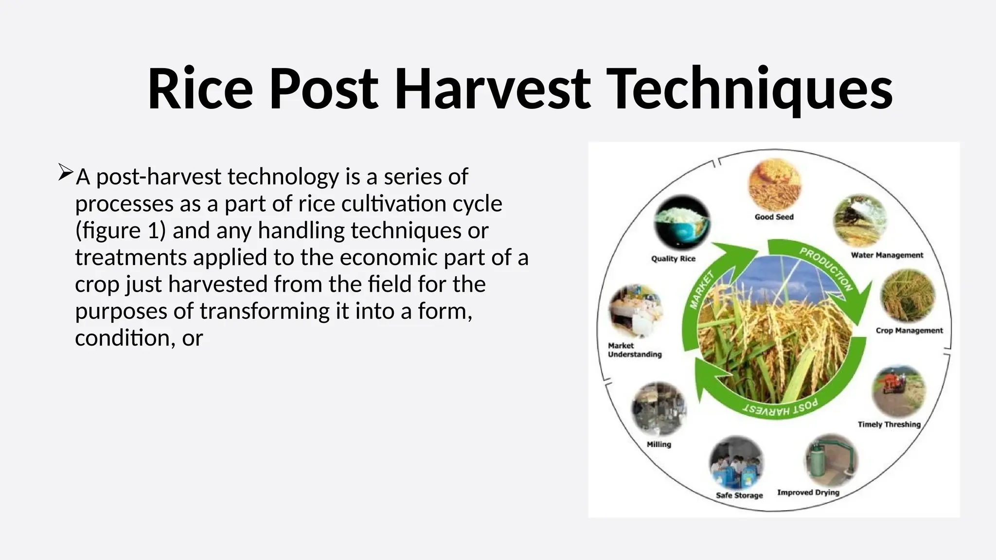 Post-harvest Technique in farming in php.pptx