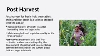 Post-harvest Technique in farming in php.pptx