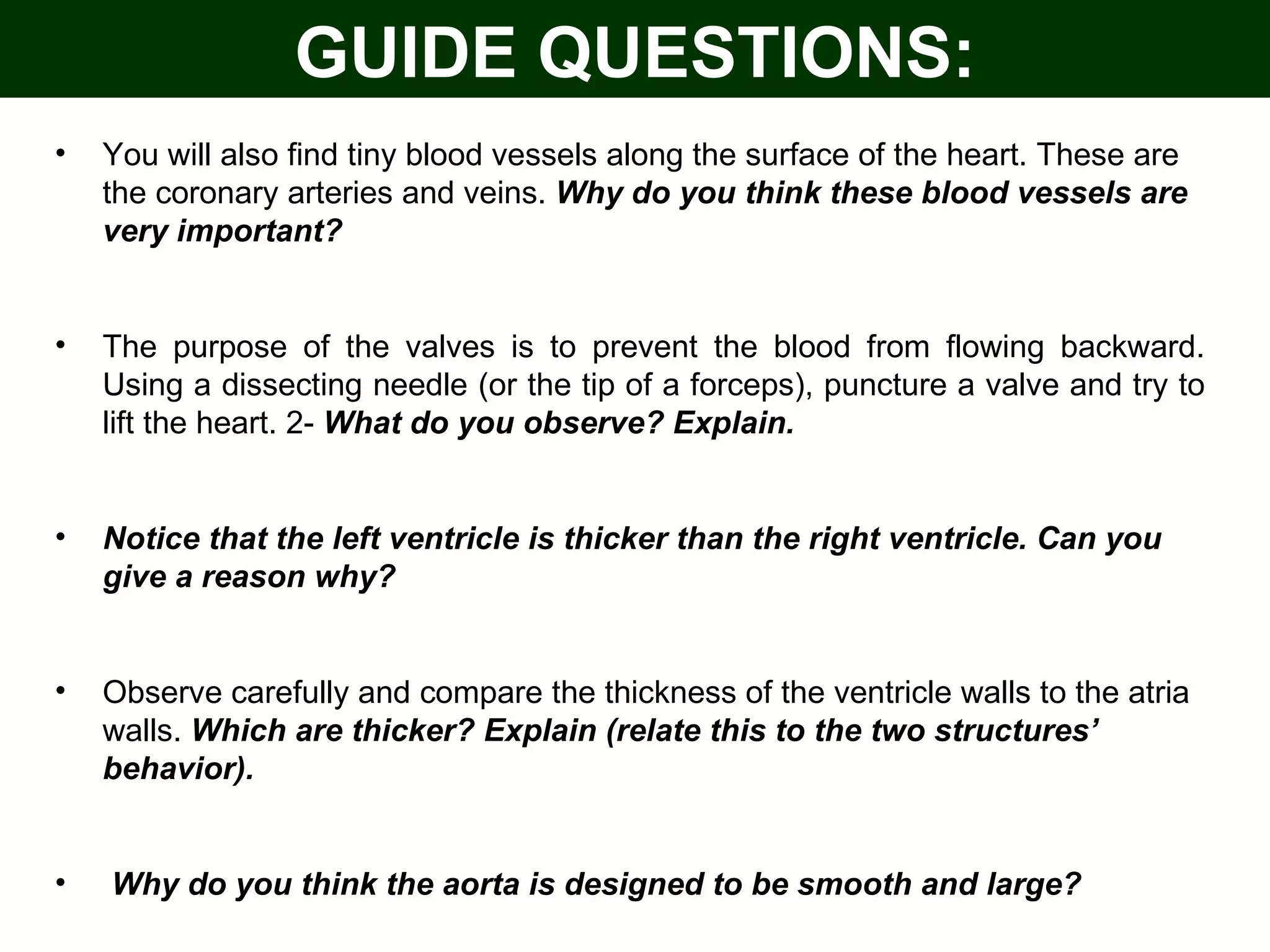 Post lab guide heart dissection student | PPT