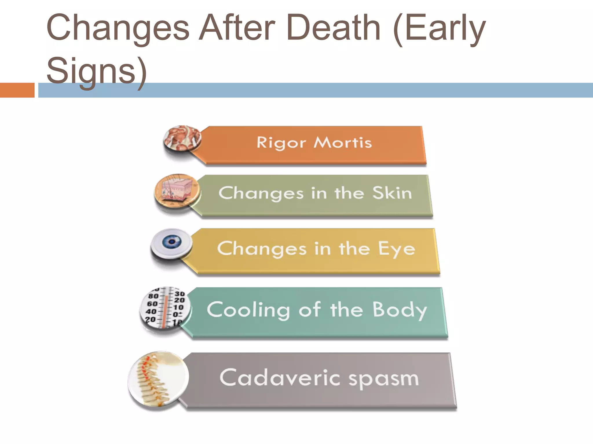 Post Mortem Changes | PPT