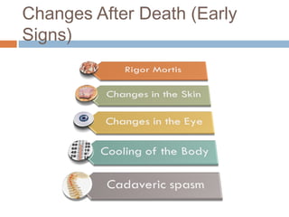 Post Mortem Changes | PPT