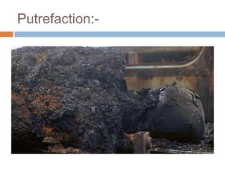 Post Mortem Changes | PPT