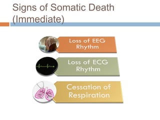 Post Mortem Changes | PPT