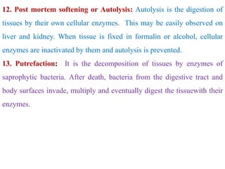 POST-MORTEM CHANGES IN ANIMALS BY DR. SHAILENDRA.ppt