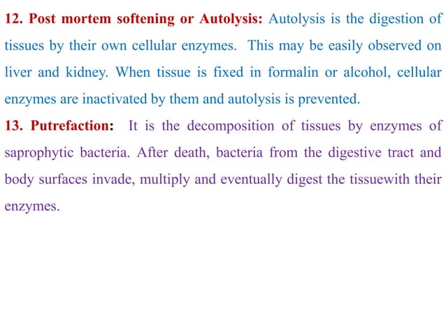 POST-MORTEM CHANGES IN ANIMALS BY DR. SHAILENDRA.ppt