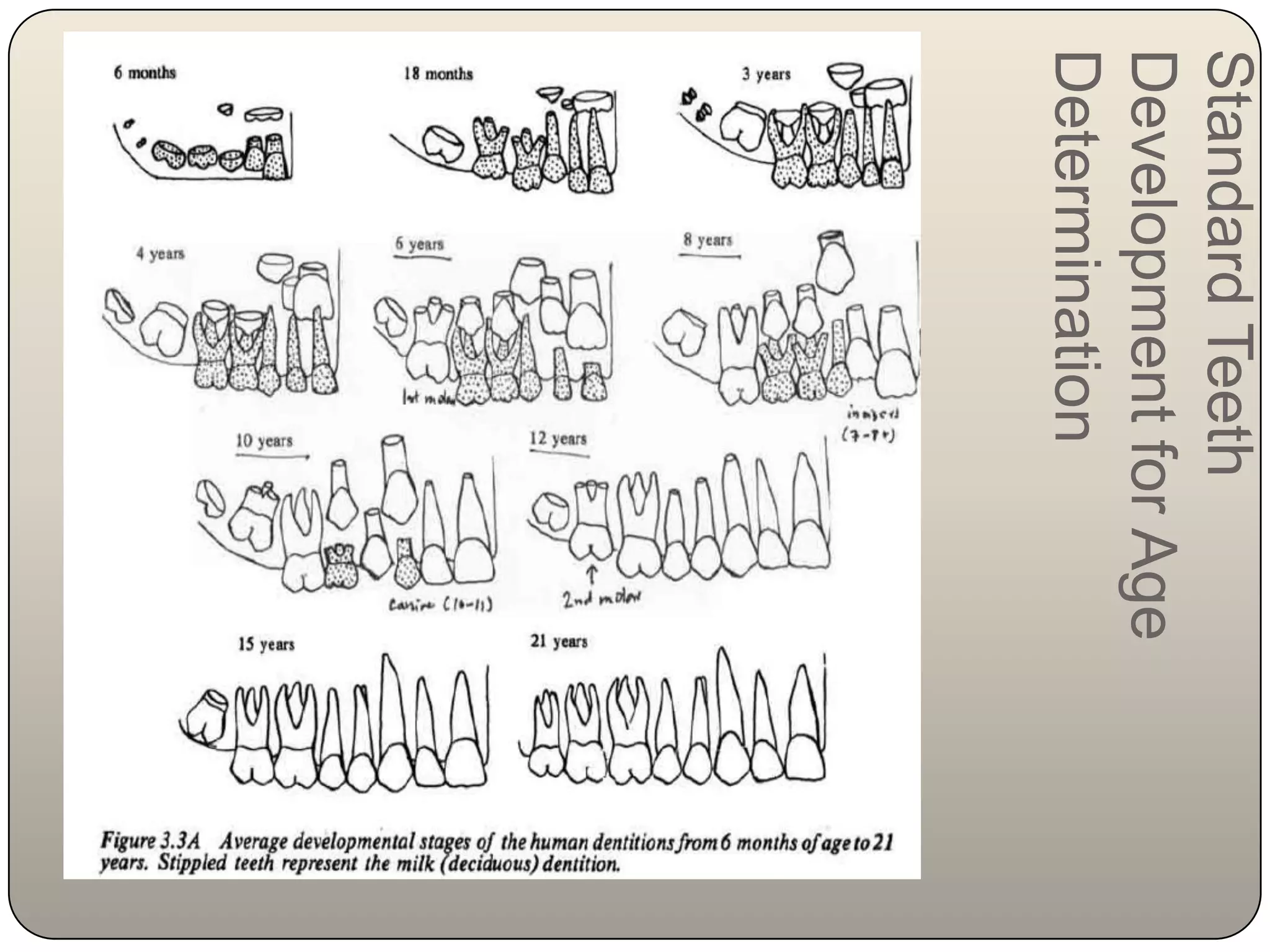 Post mortem examination(autopsy) | PPTX