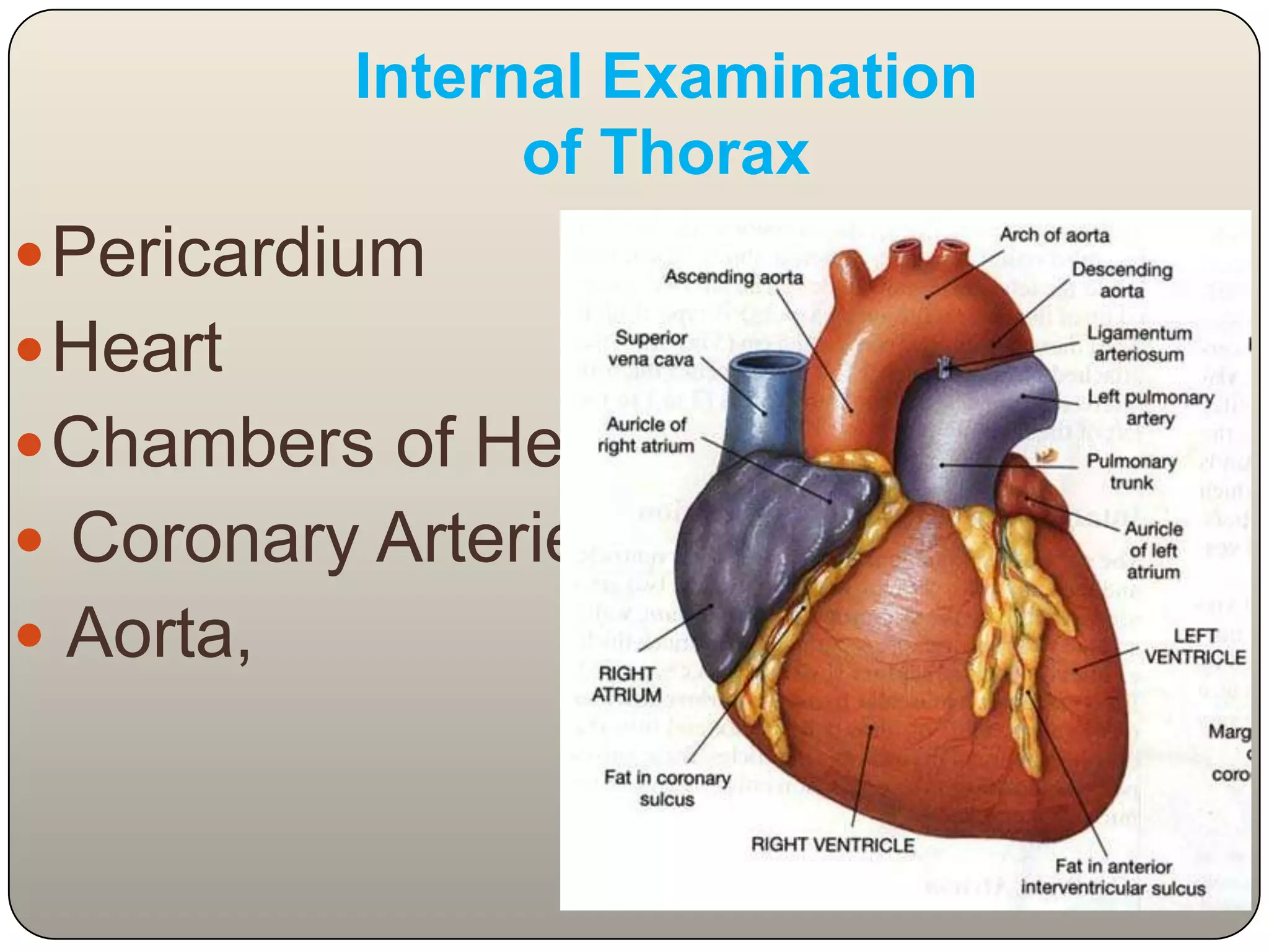 Post mortem examination(autopsy) | PPTX