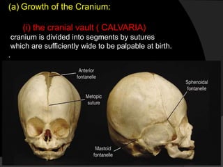 Post natal growth of the Head - Dr. Maher Fouda | PPTX
