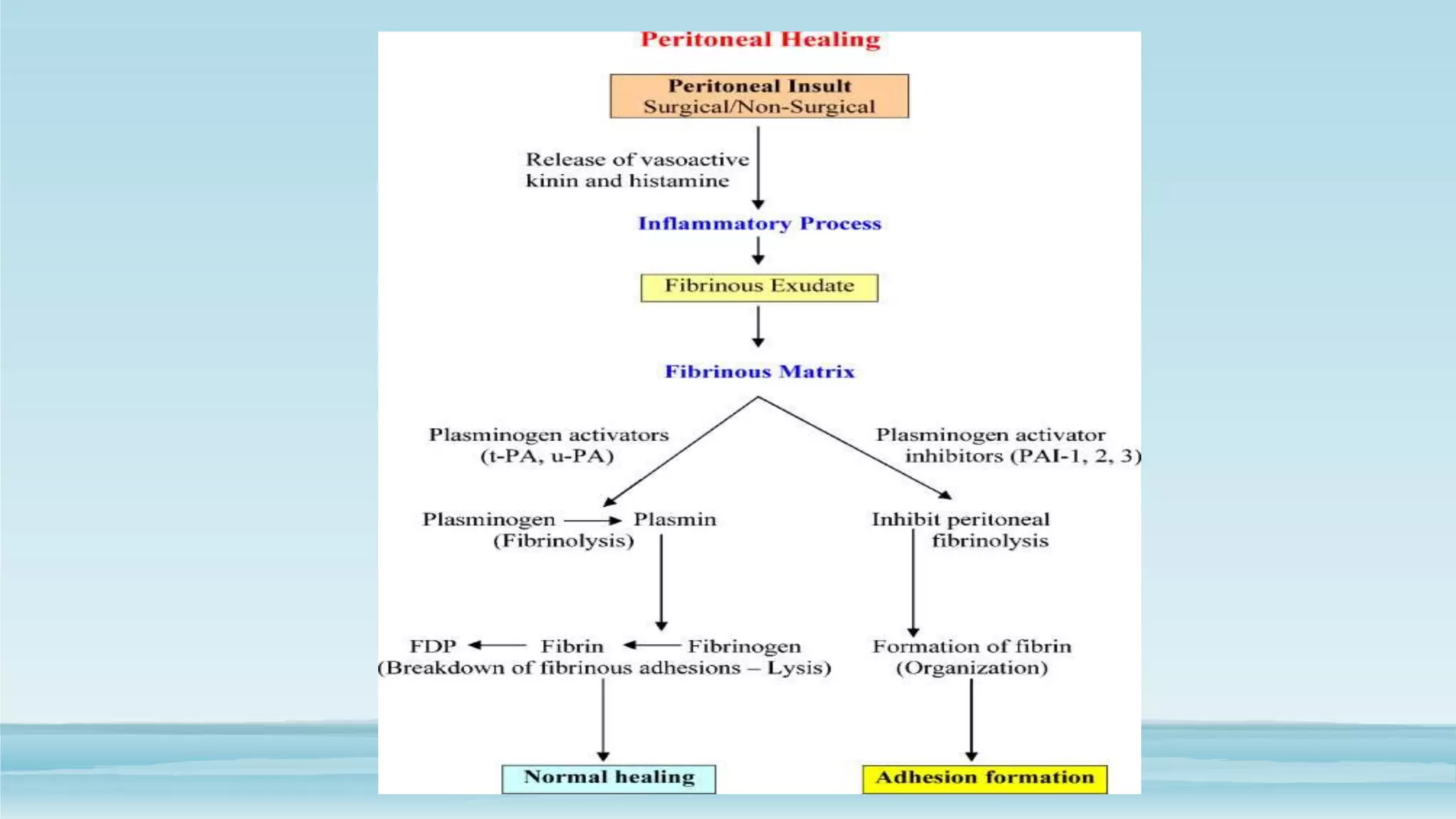 Post operative adhesions and management | PPTX