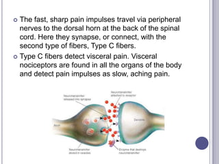 Post operative pain management | PPTX | Death, Injury, or Military ...