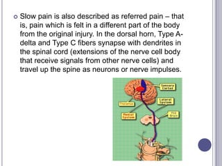 Post operative pain management | PPTX