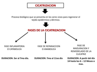 Post operatorio y heridas | PPTX