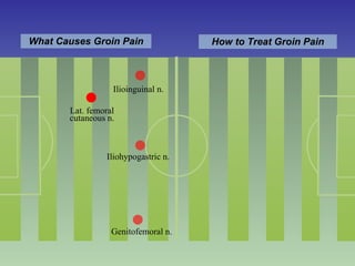 Post-op Herniorrhaphy Pain: What Causes it and How Do We Treat It? | PPT