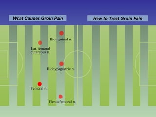 Post-op Herniorrhaphy Pain: What Causes it and How Do We Treat It? | PPT