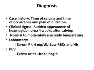 Post parturient-hemoglobinuria | PPTX